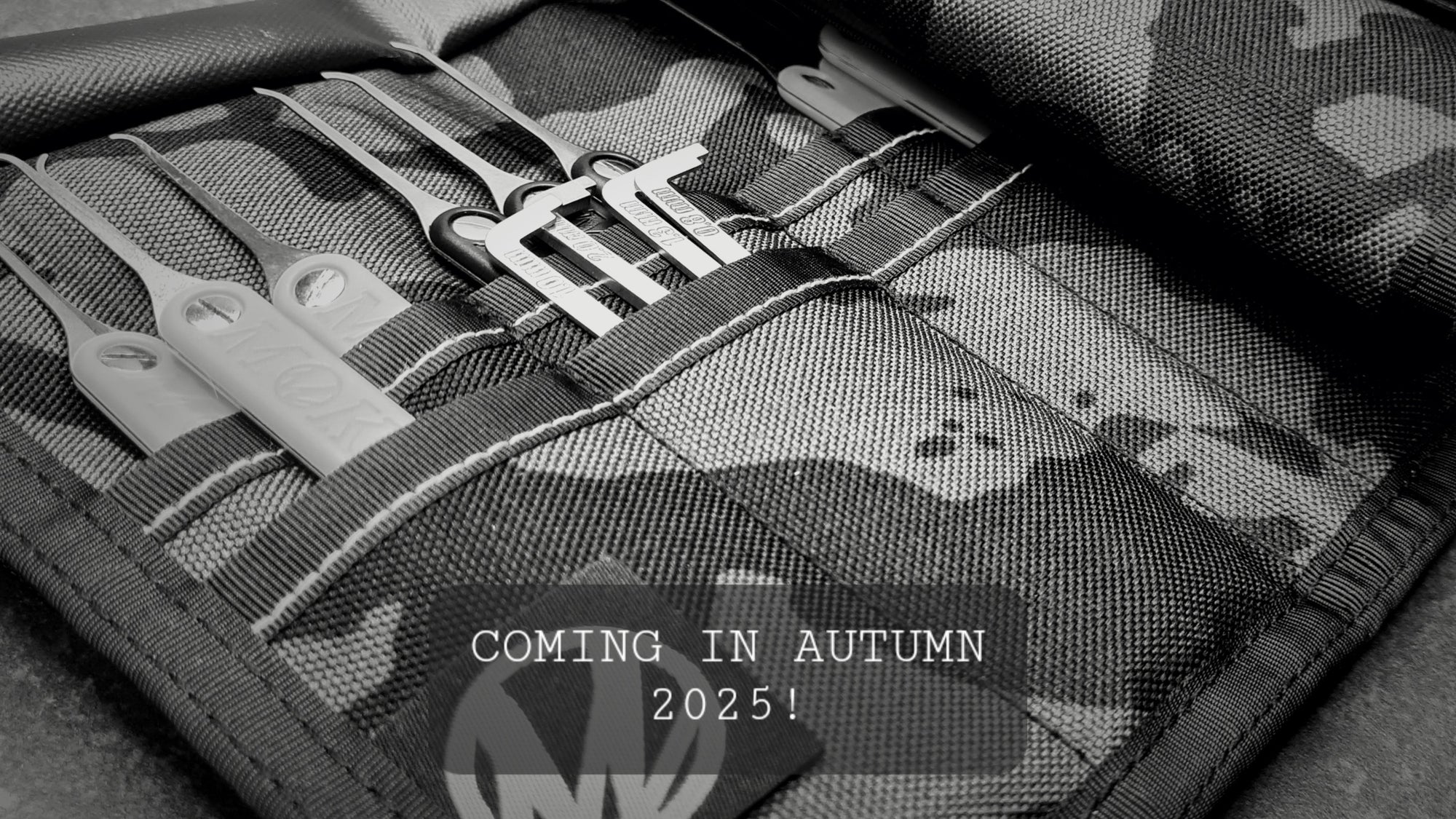 Lock picking sets for beginners and advanced users – mok-workshop